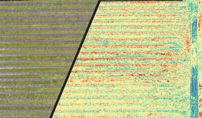 Understanding NDVI: The Key to Monitoring Vegetation Health