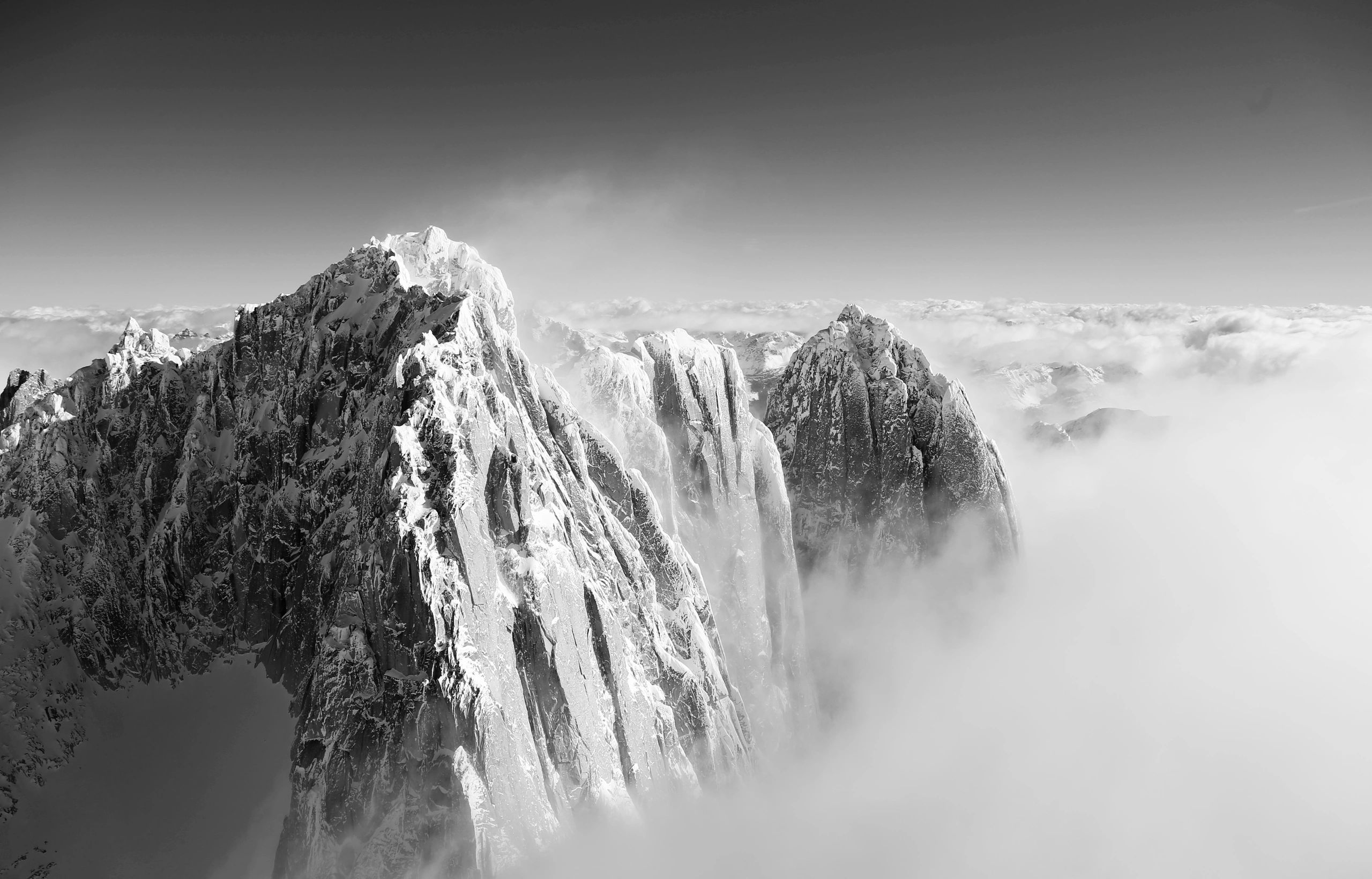 Wild Air Photography