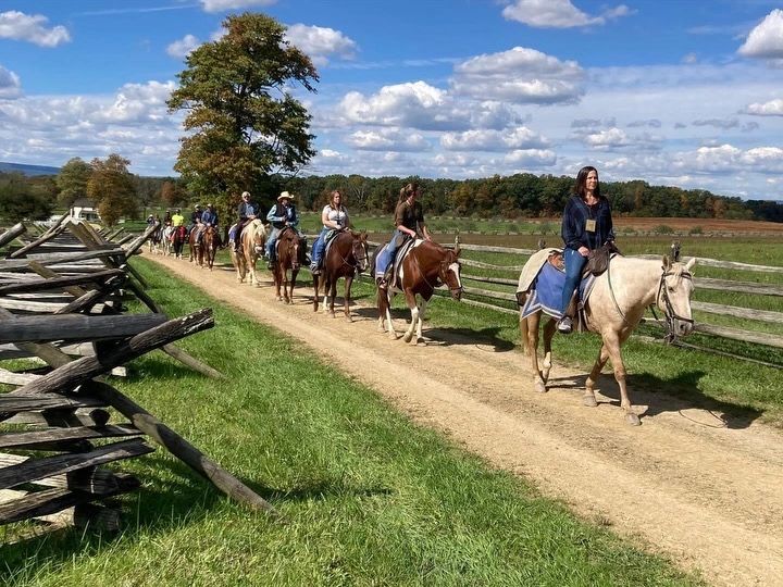 Confederate Trails of Gettysburg Inc. - Carriage Tours, Horse Tours of ...