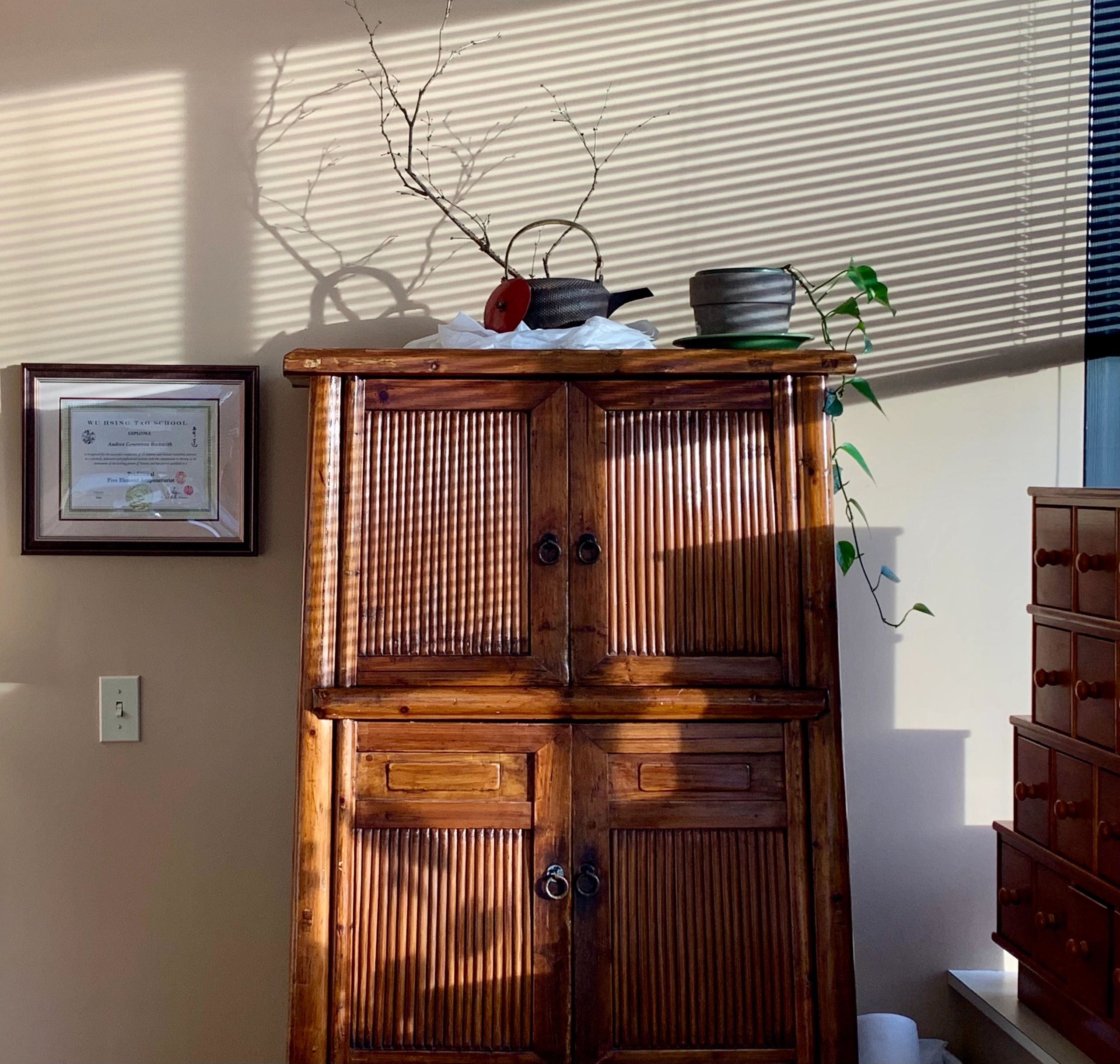 MS EAMP Acupuncture | Orange Poppy 5 Element Acupuncture