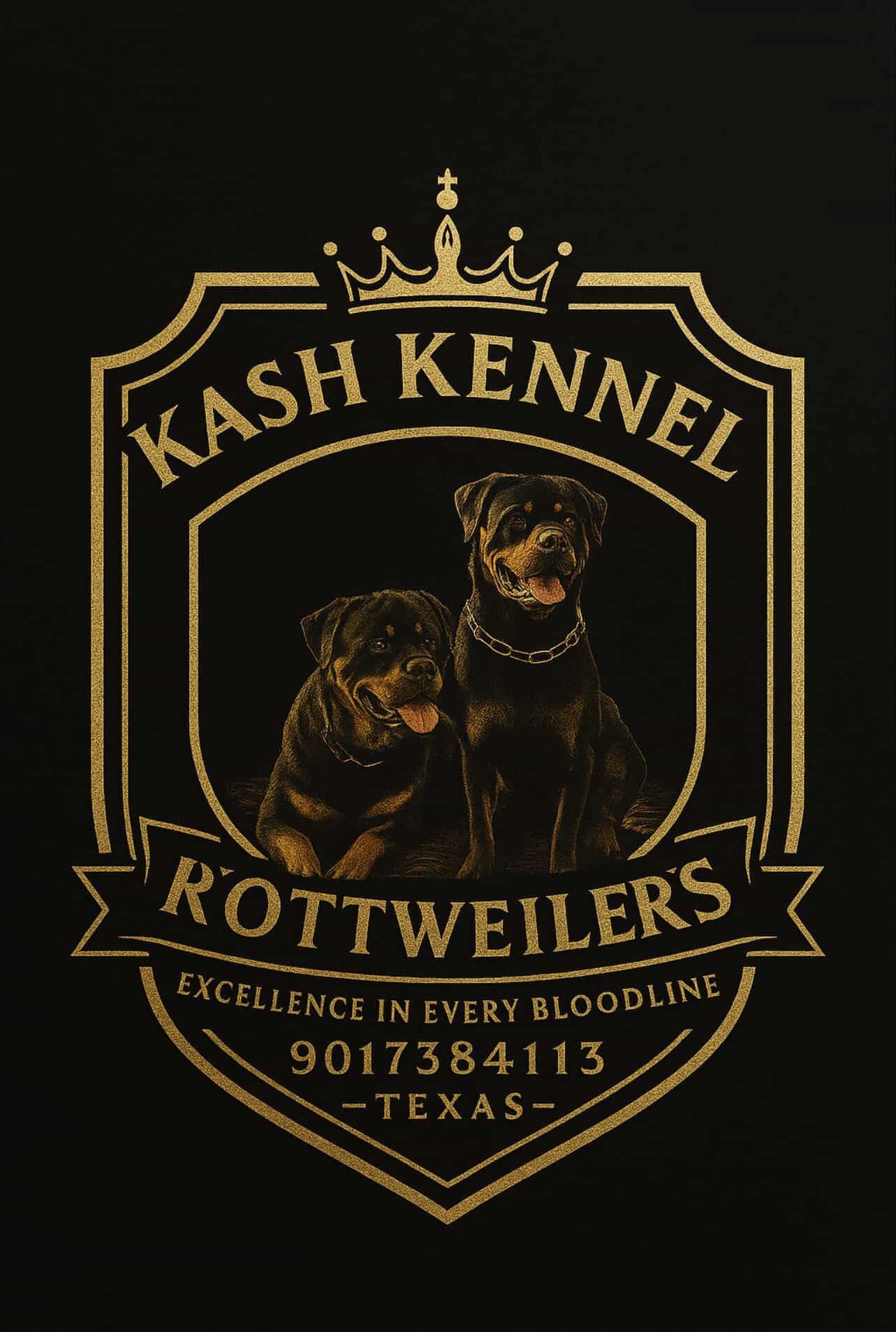 Our Dogs | Kash Kennel Rottweilers