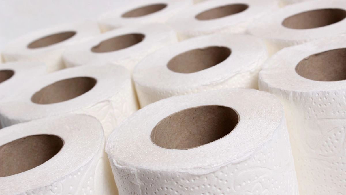 A Brief History of Toilet Paper