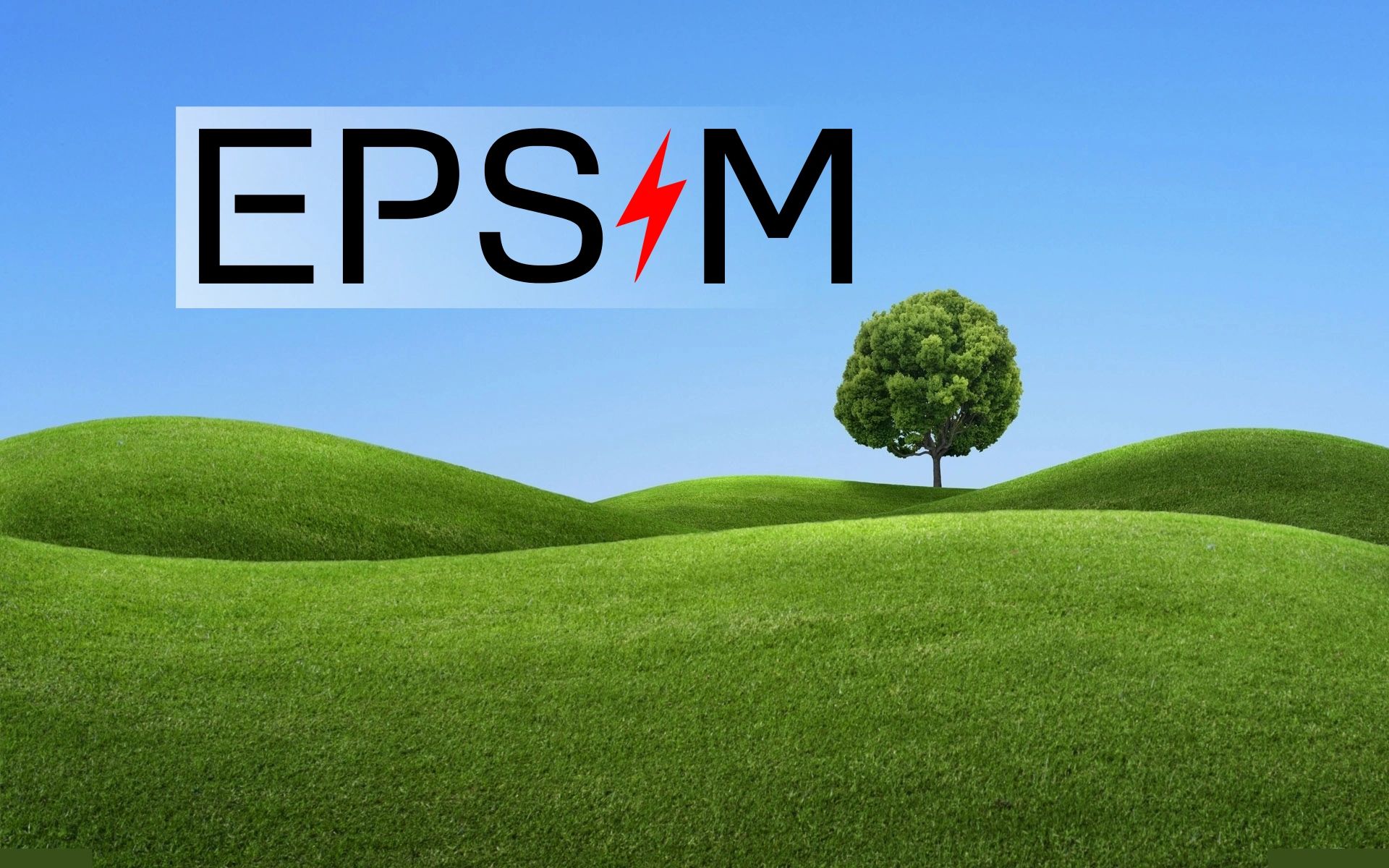 About EPSIM