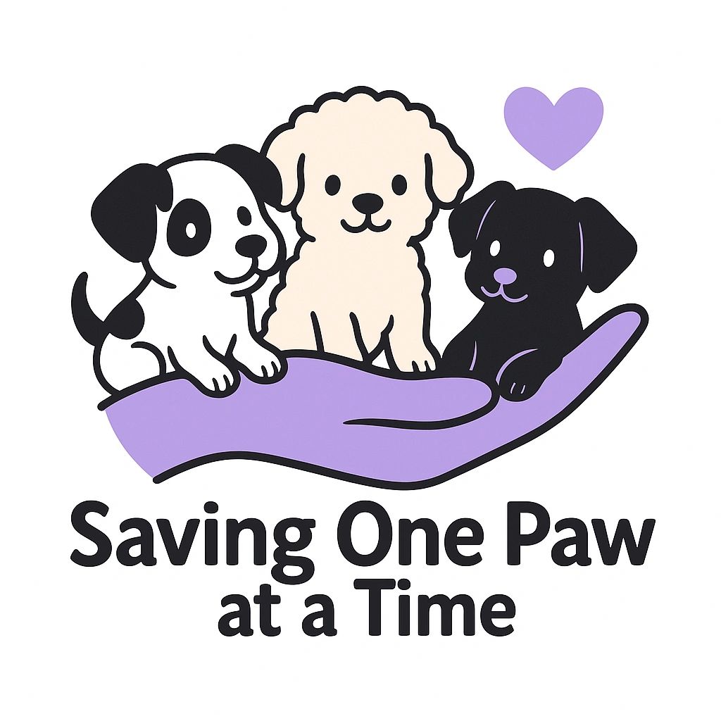 Saving One Paw At A Time Rescue & Transport - Home