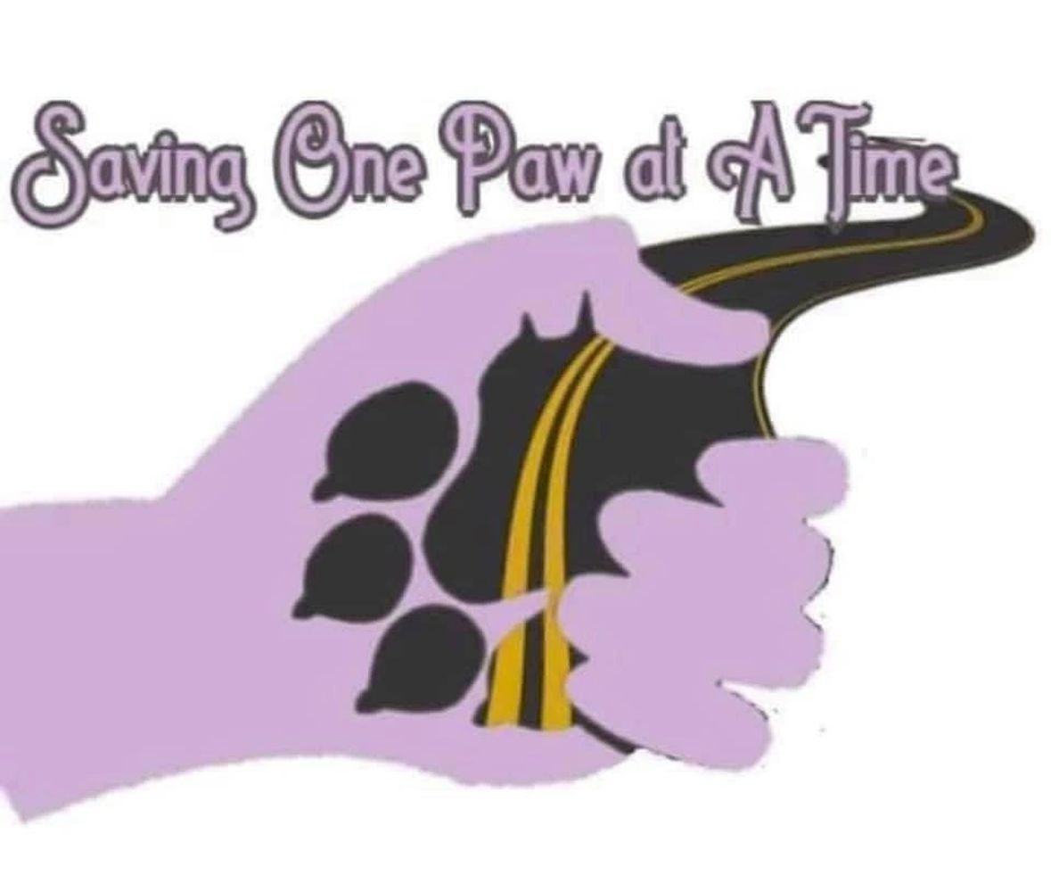 Saving One Paw At A Time Rescue & Transport - Home