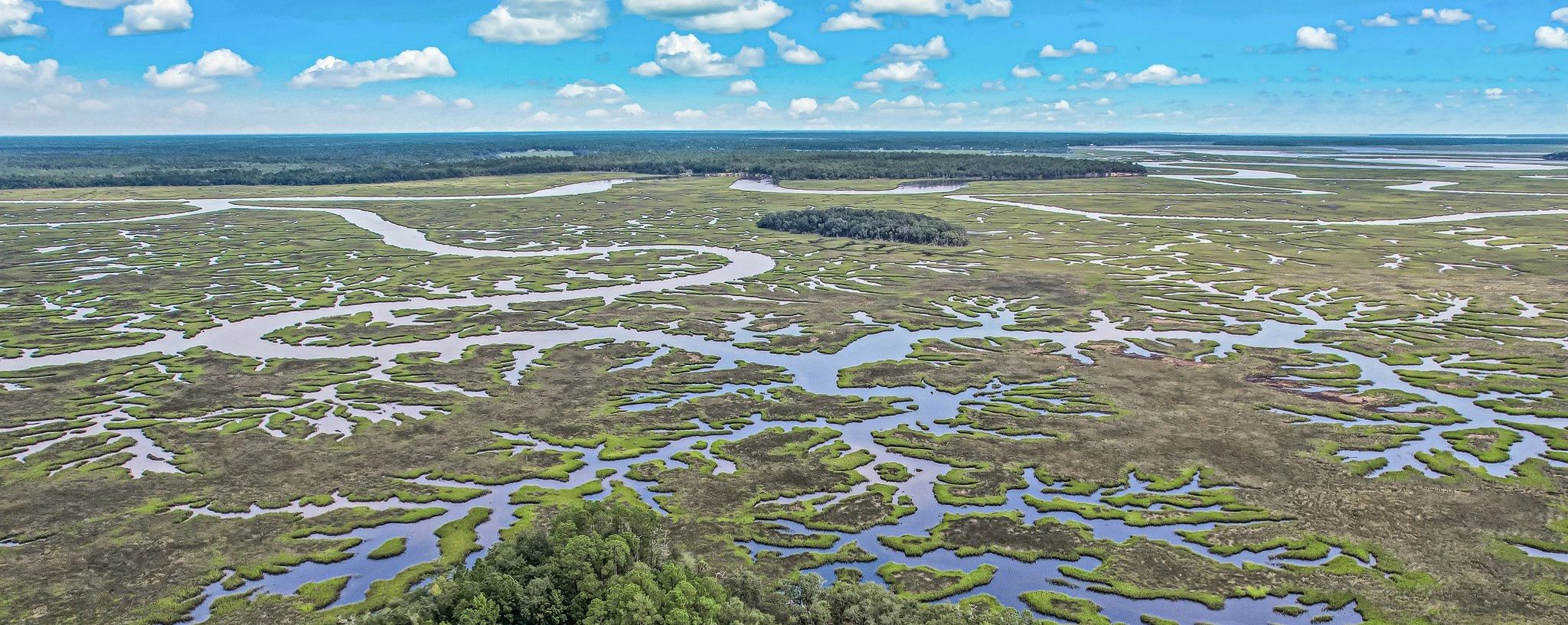 Lake Juniper | Josselyn Homes