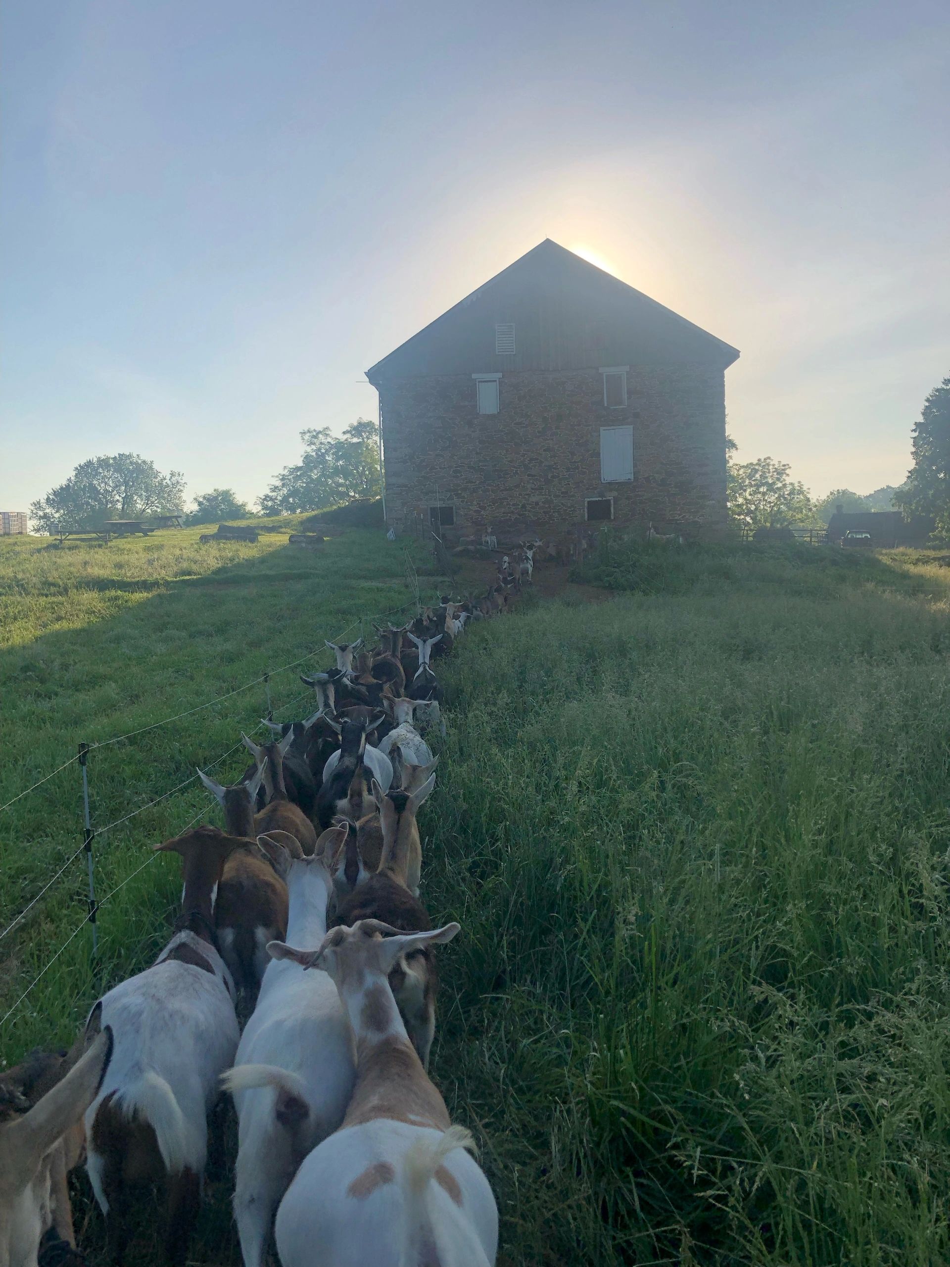 Sam Kroiz for Chairman of the Loudoun County Board of Supervisors