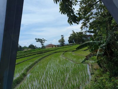 Global Soil Security