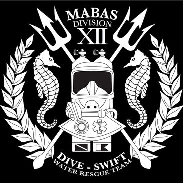 MABAS Division 12