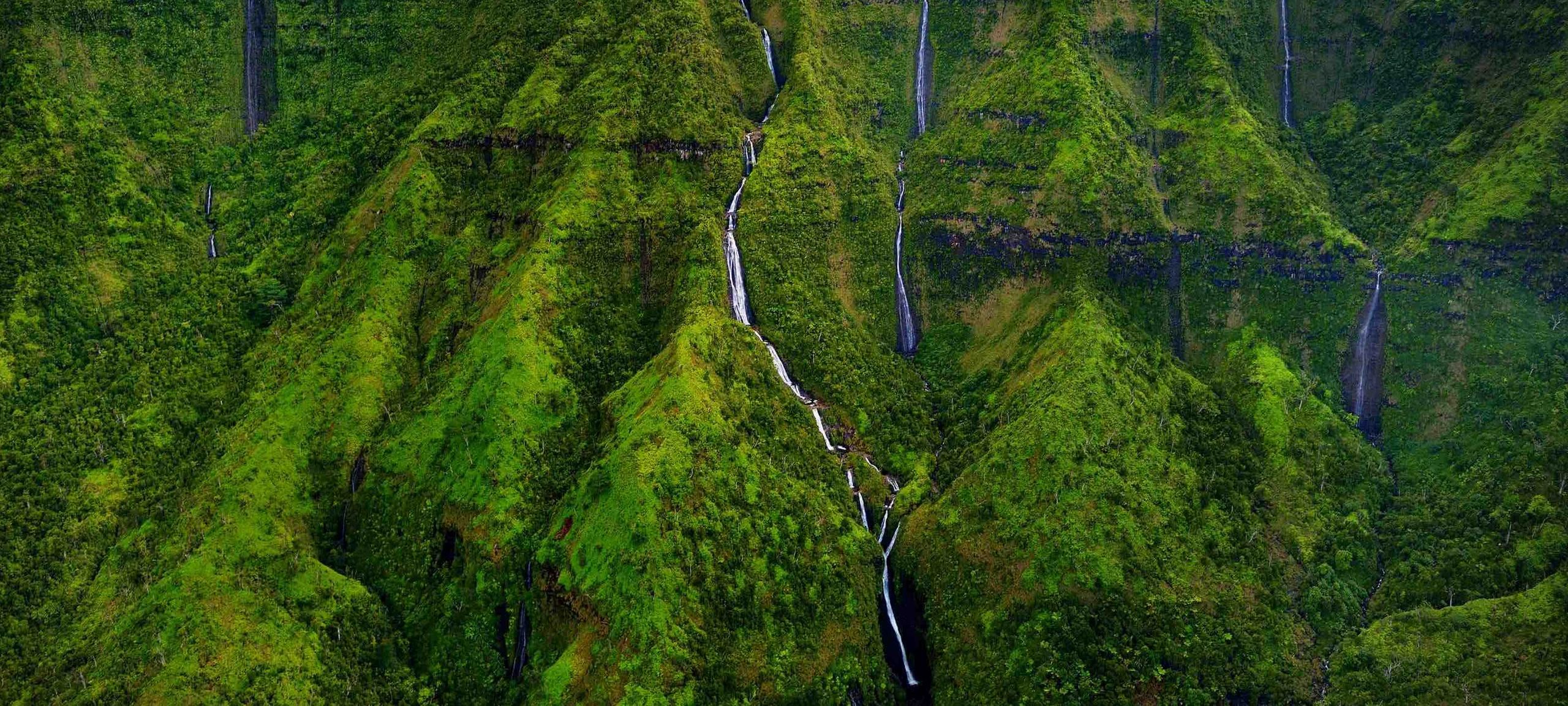 Alohapledge.com