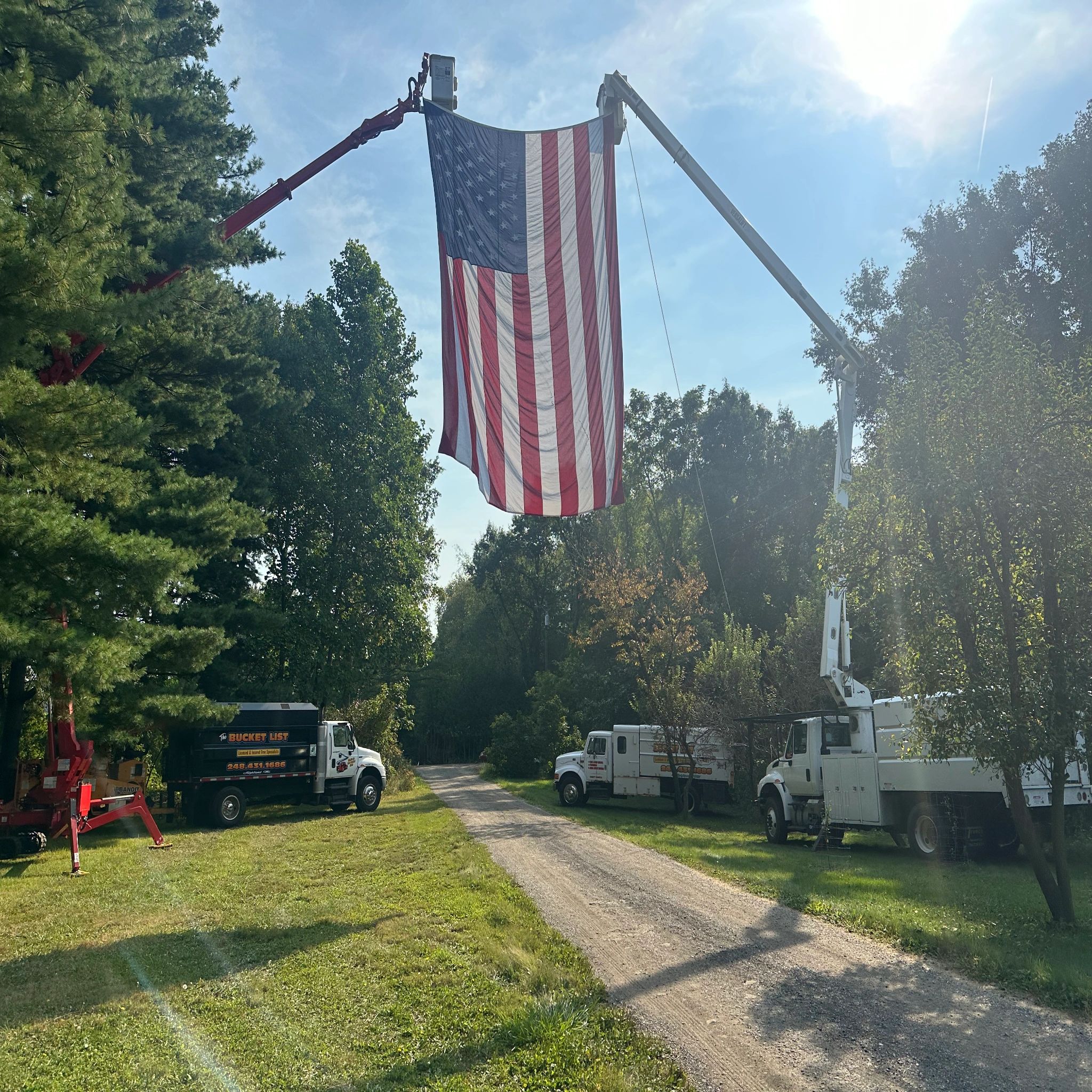 Gallery | thebucketlisttreecare