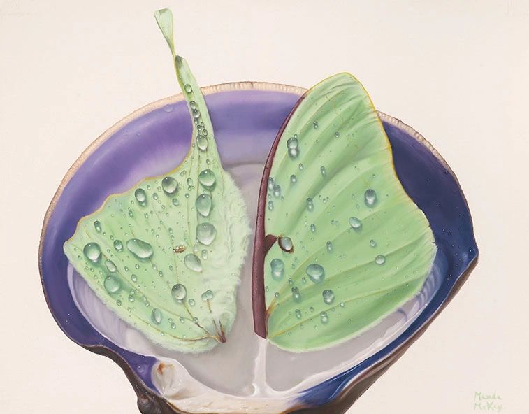 "Welling Up" 14 x 11" horizontal giclee print