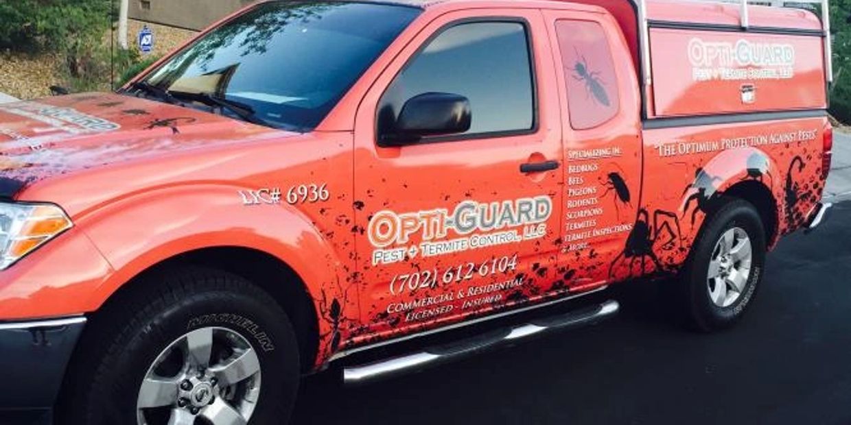 Opti-Guard Pest + Termite Control - Pest Control, Termite Control ...