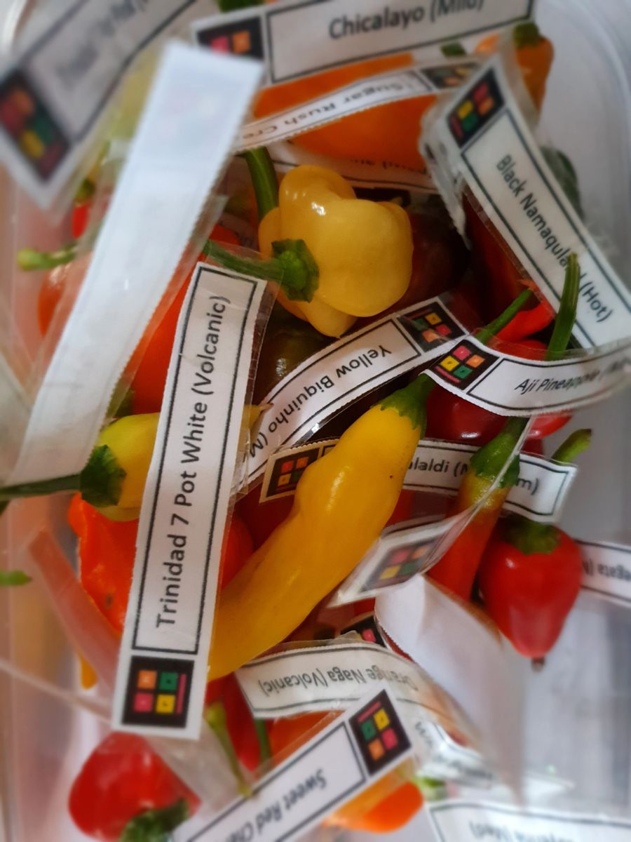 Box of 20 Mixed labelled pods