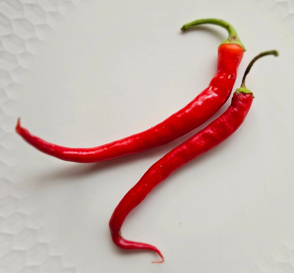 20 Guindilla Chilli Seeds