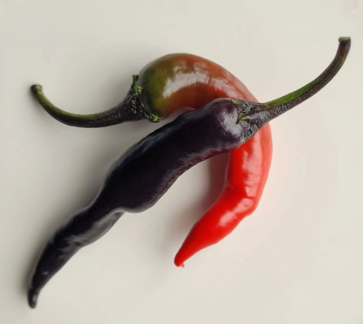 20 Muraski Purple Chilli Seeds