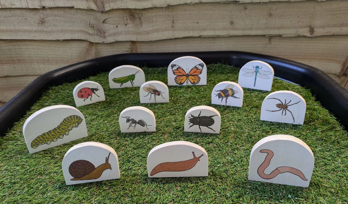 Small World/ Tuff Tray Mini Beasts