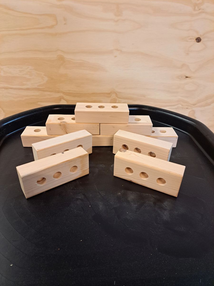 Pack of 20 Softwood Bricks