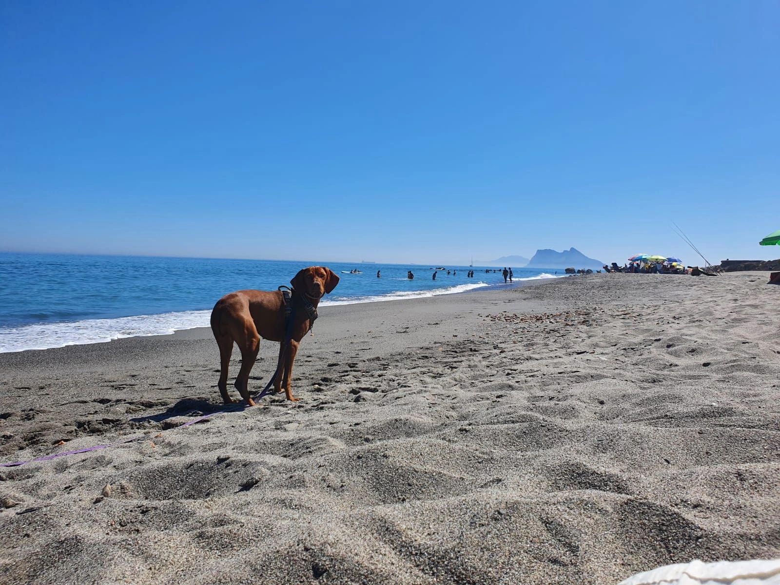 Area guide: La Alcaidesa