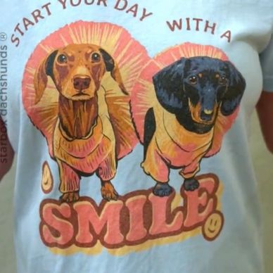 The Starbox Dachshunds - Moonpie Starbox