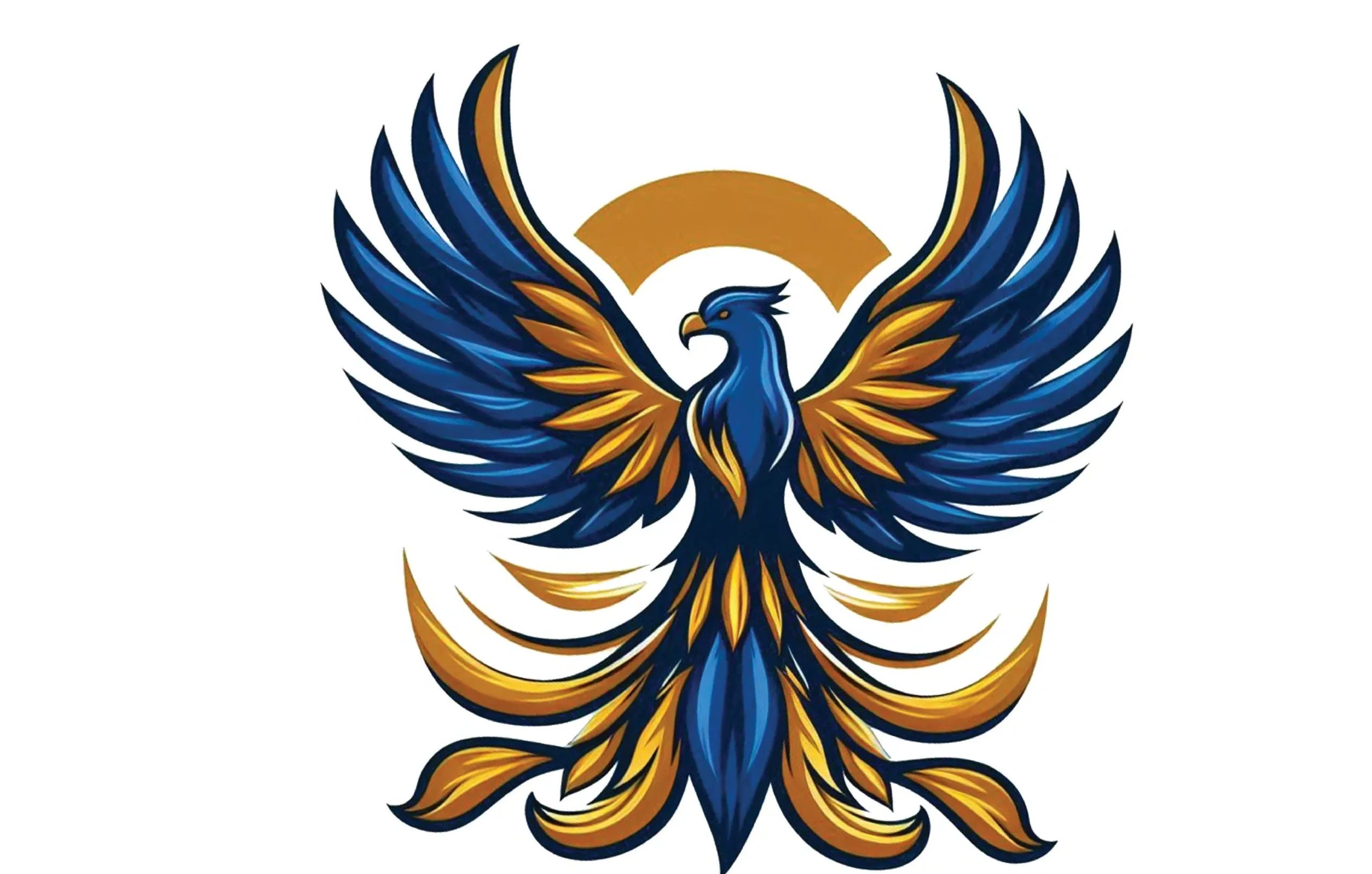 Reberth Dialysis, LLC