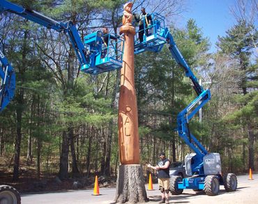 MAIN | NEW TMJG 2019