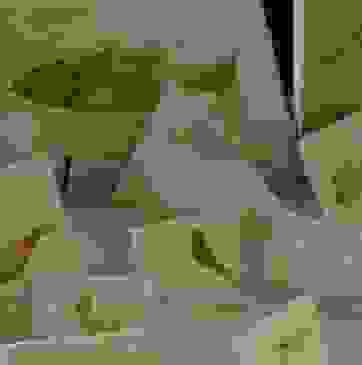 Moab Rock Shop - Rock Shop, Fossils Minerals