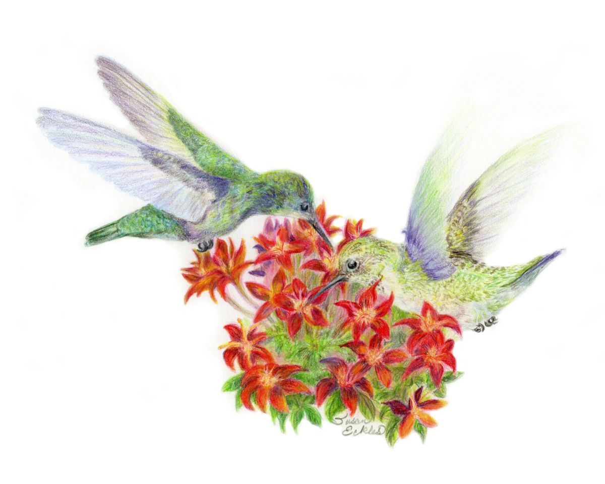 Pick Your Art Note Cards