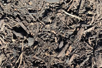 Mulch | Mebane Shrubbery