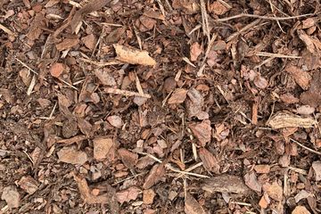 Mulch | Mebane Shrubbery