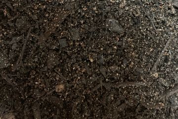 Soil | Mebane Shrubbery