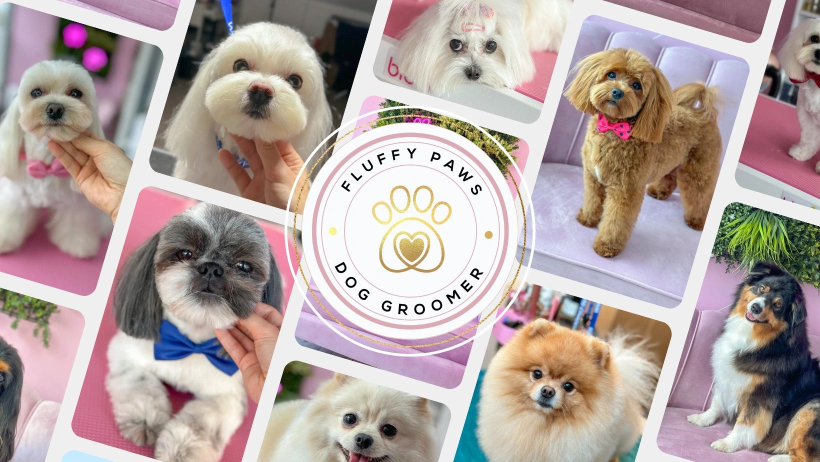 Psi Fryzjer Piła: strzyżenie, mycie i pielęgnacja - Fluffy Paws