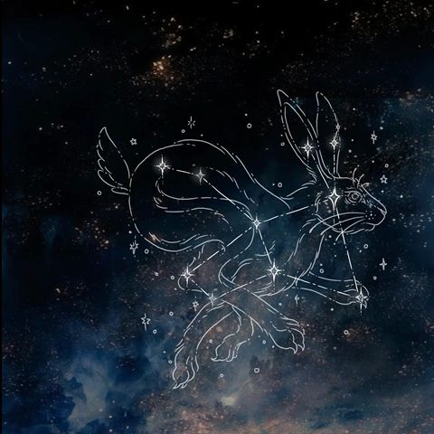 Home [lepustattoos.com]