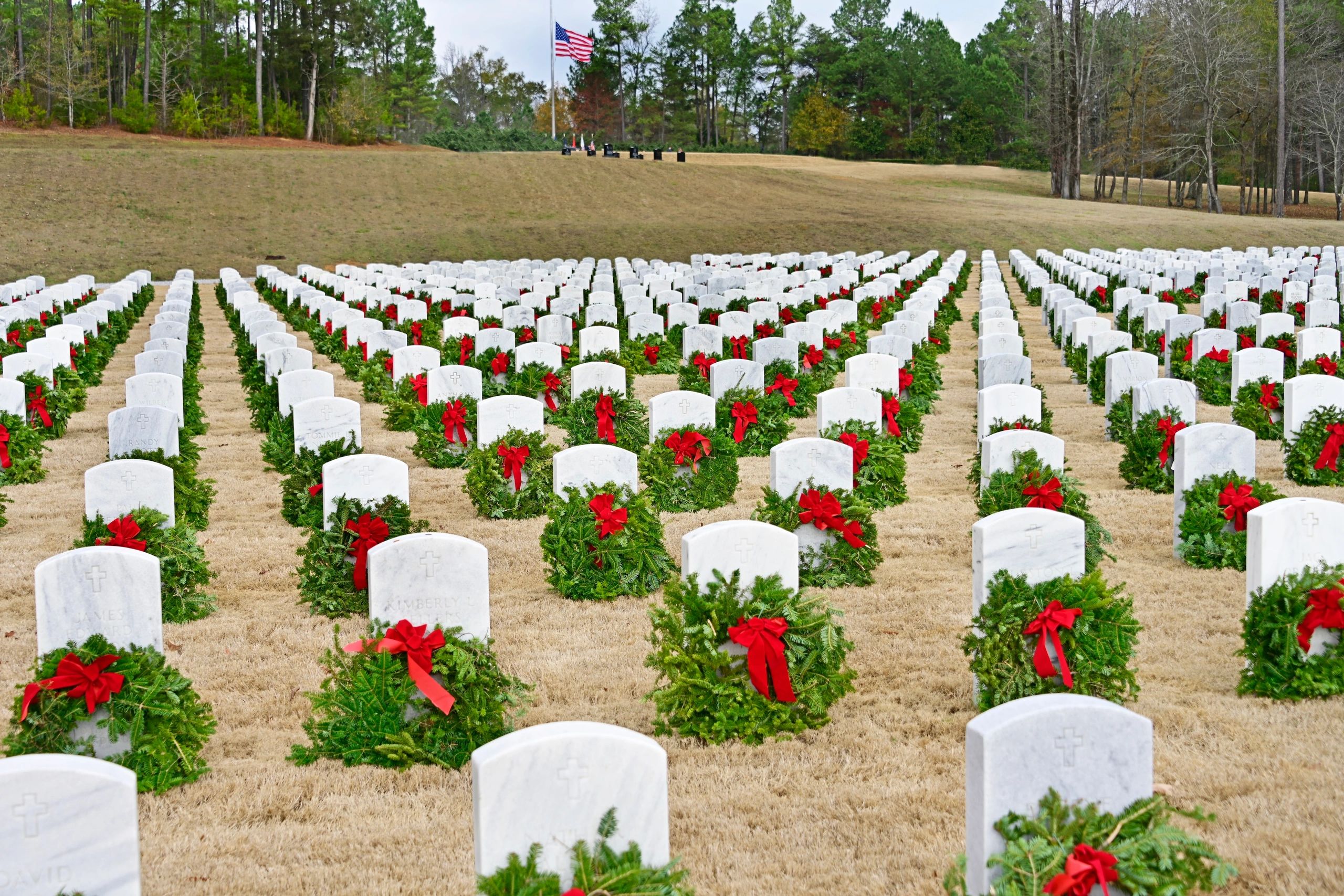 A Day to Remember, Honor & Teach: Wreath Across America at ALNC
