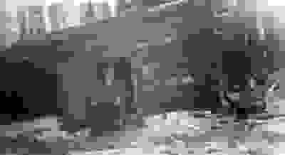 World Record Broder Buck - Buck For Justice