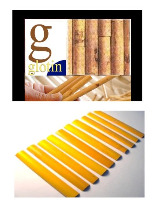 GLOTIN Bassoon Cane-Gouged ONLY-Mechanically Processed & gouged in ...
