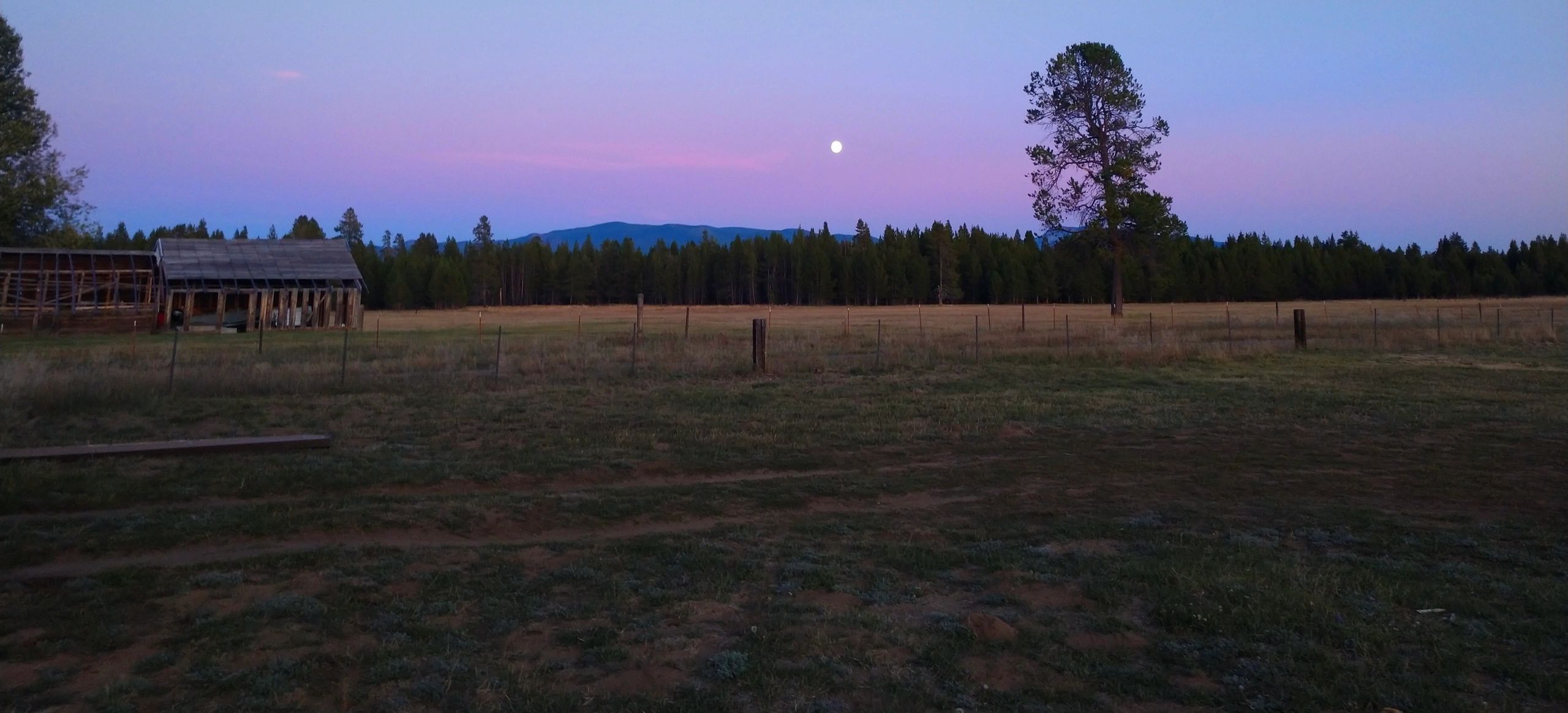 Welcome to Moonlight Ranch - Regenerative Agriculture in Oregon
