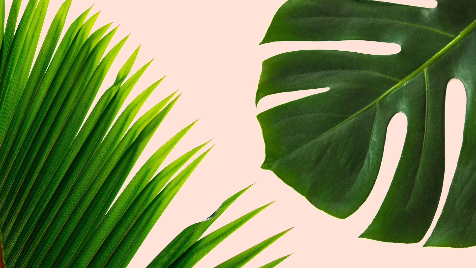 The VIBE on Spring - Charleston Vacation Home Rental