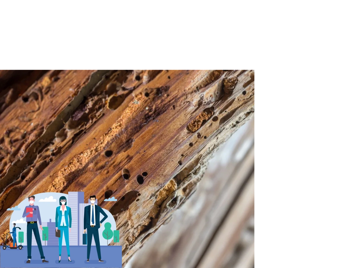 Hardy & Hayes Termite Certification & Treatment Company