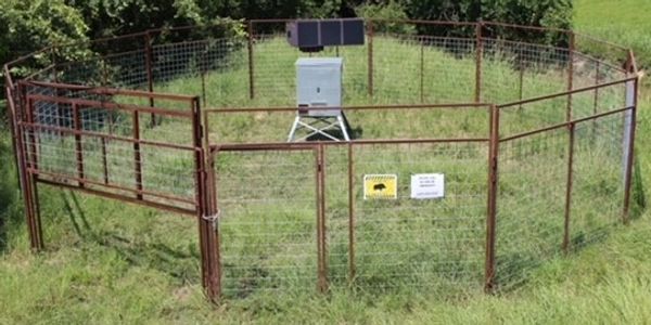 Texas WildGame Systems - Hog Trap, Outdoors, Trapping Service
