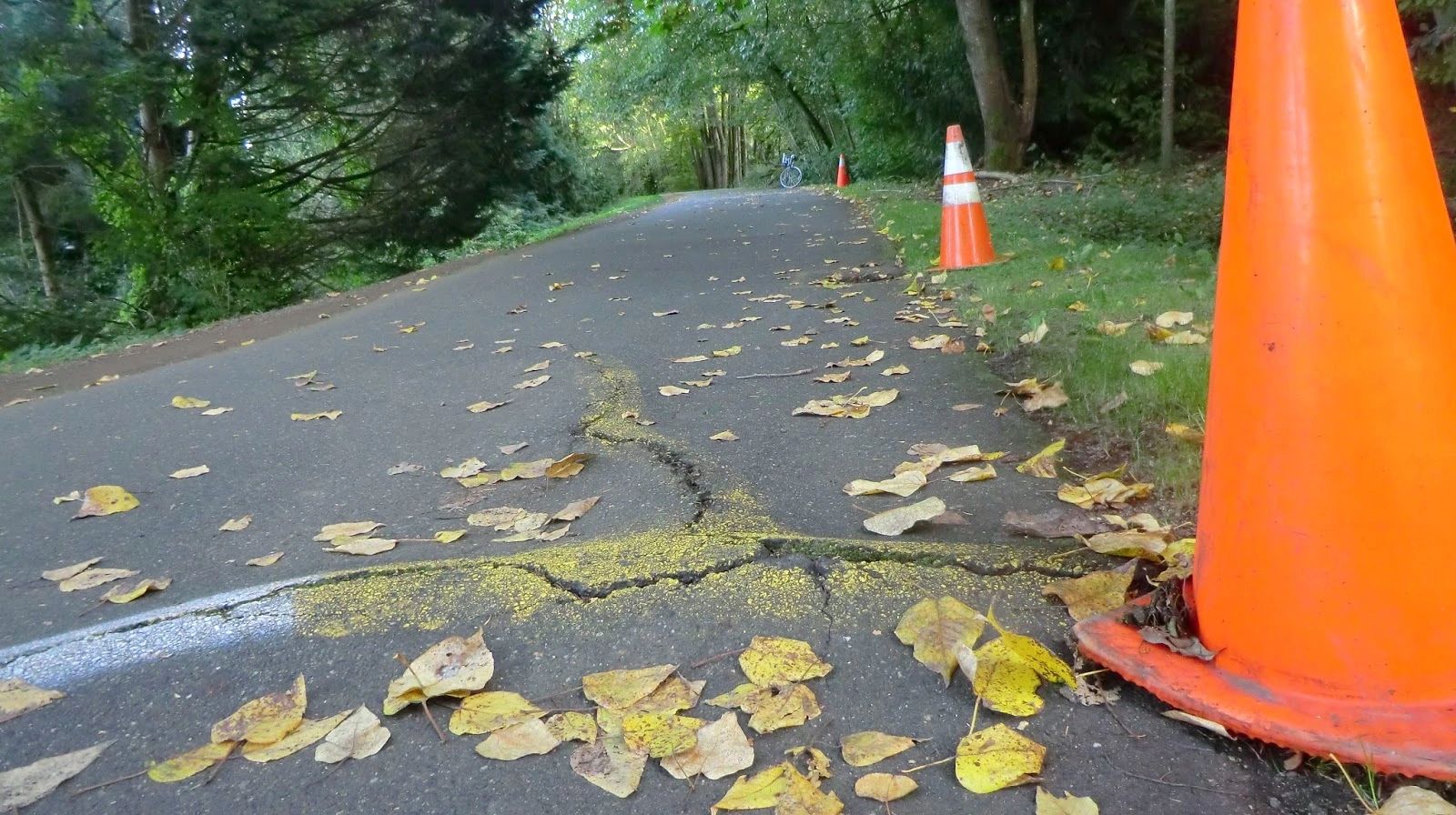 Bump Removal Asphalt and Concrete - Flatpaths