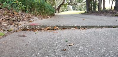 Concrete Paths | Flatpaths