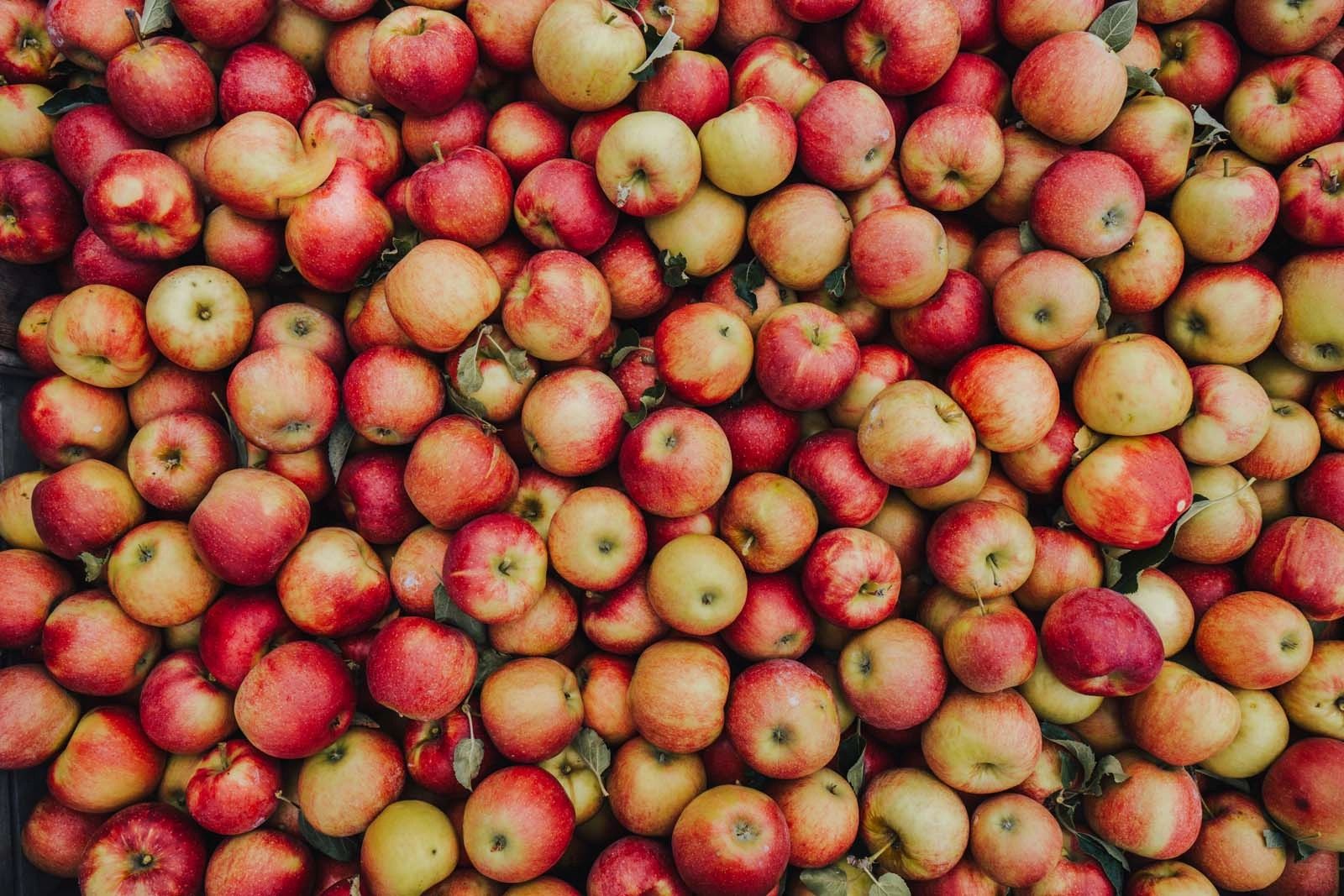 Apple Barrel Orchards - Cidery