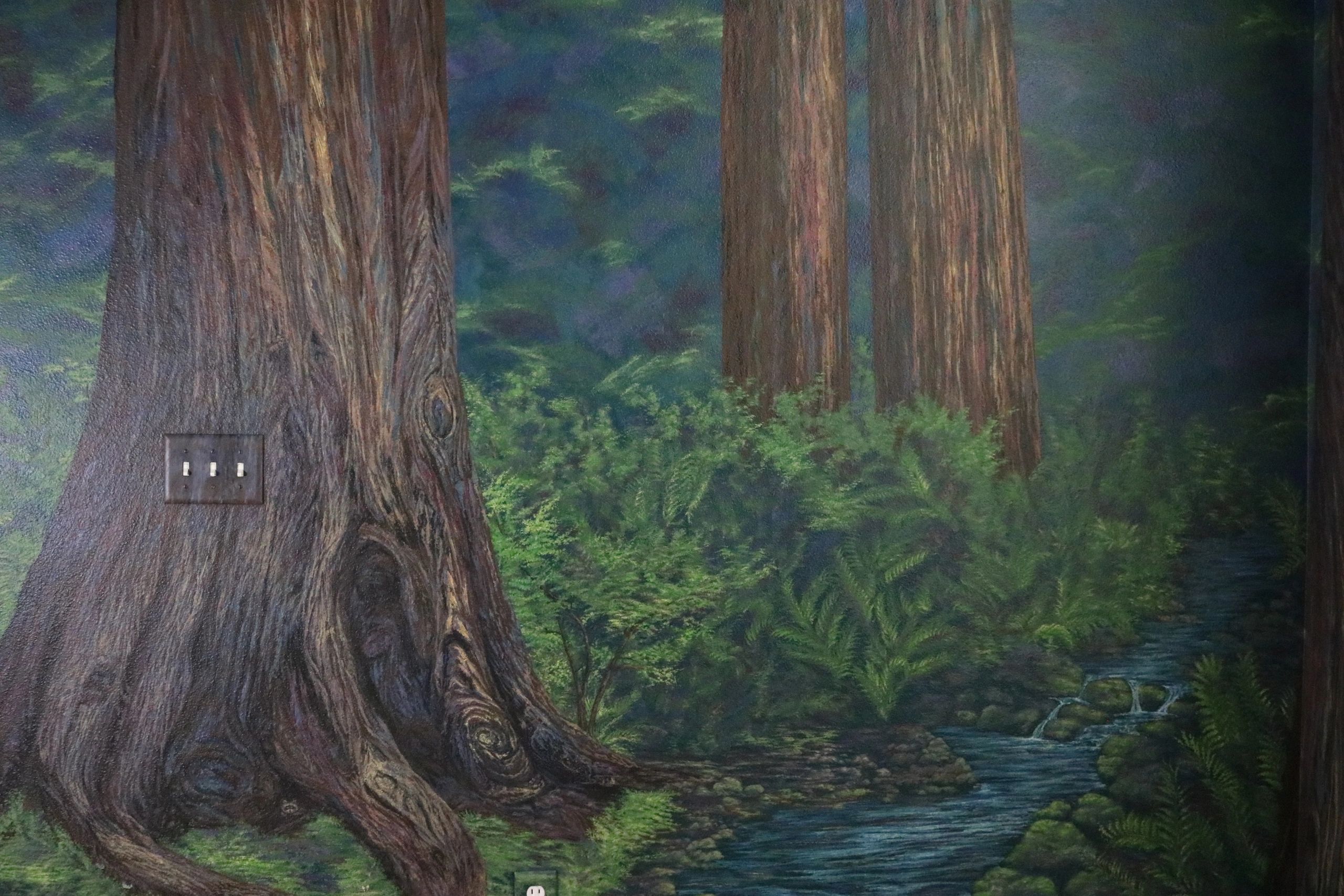 Wall Art by Jennifer Patten - Murals, Artistic Murals