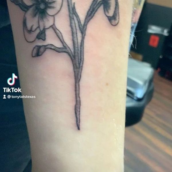 Portfolios | Old Souls Ink