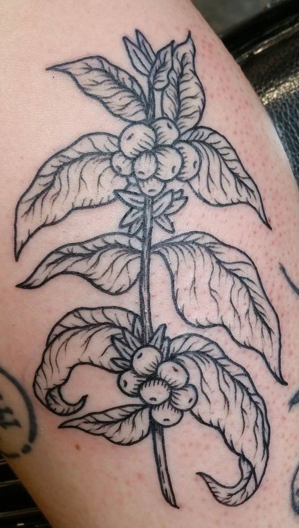 Portfolios | Old Souls Ink