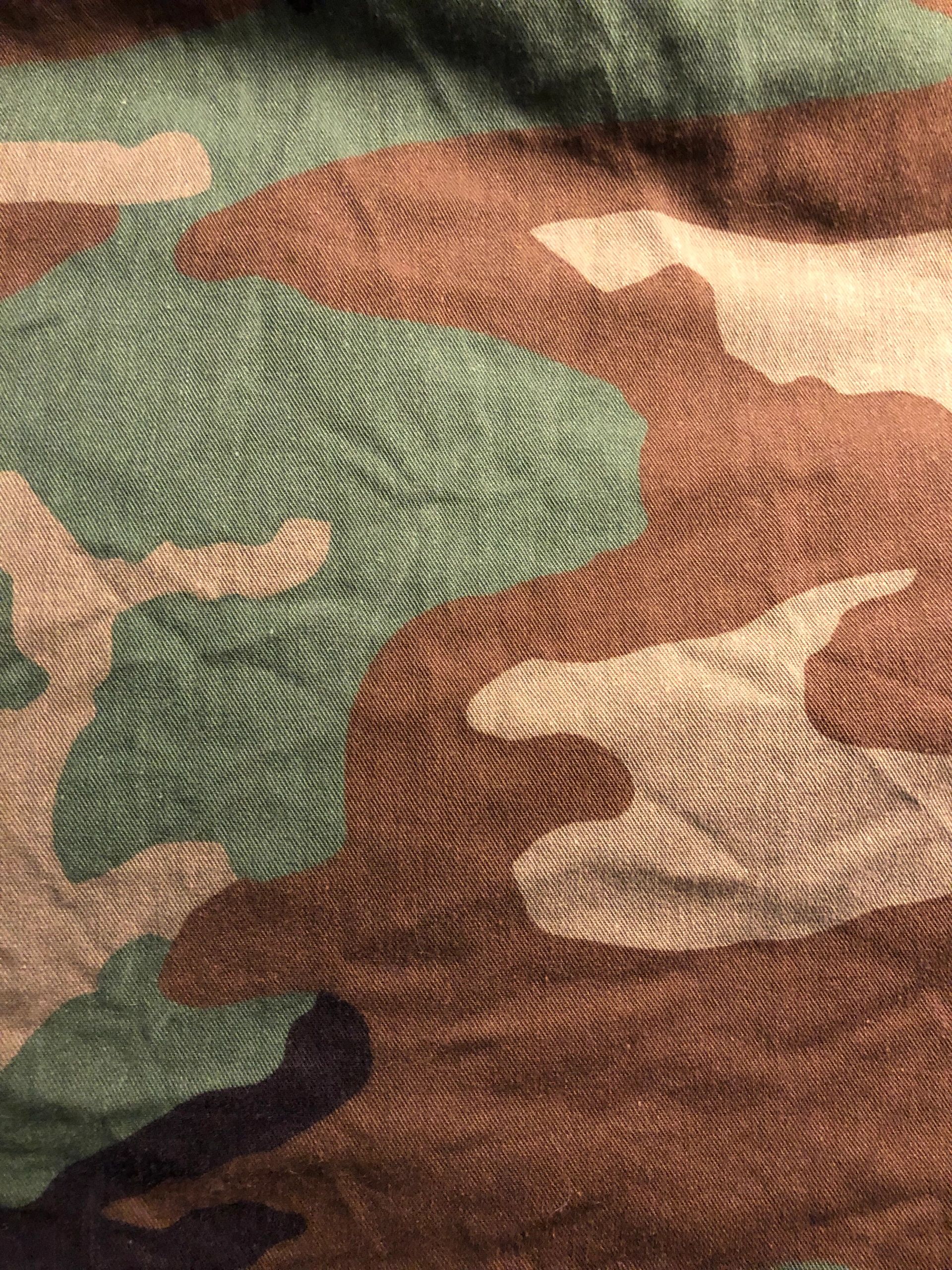 M81 Woodland: From 80s to eternity?