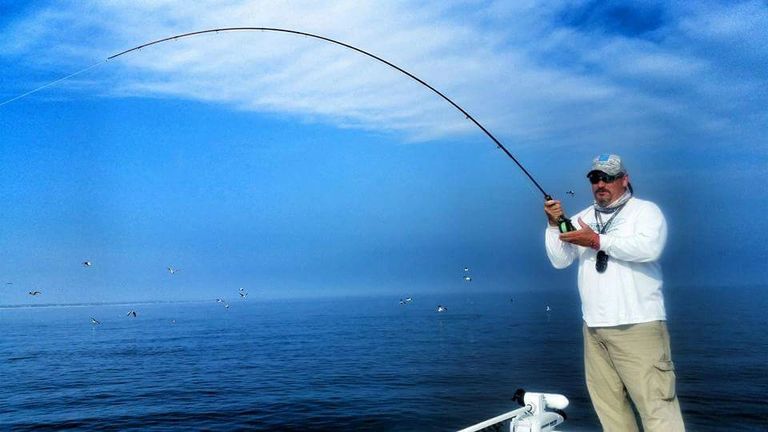 Cape cod fly fishing