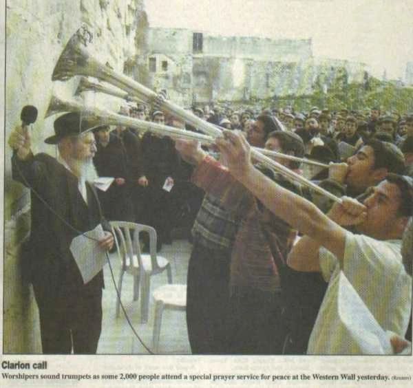 Temple Trumpet | atelier-yuwa.ciao.jp