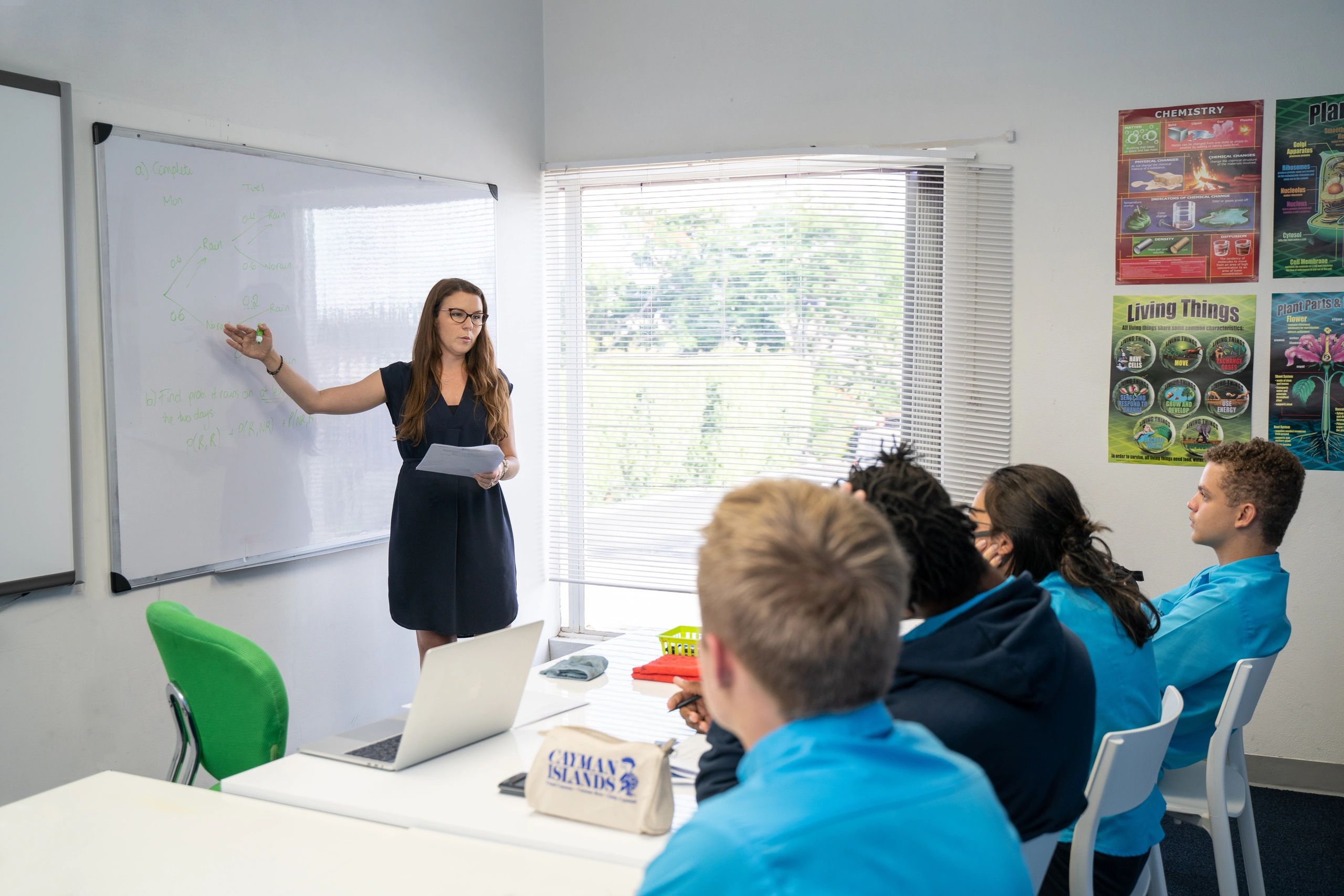 Home [haacayman.com]